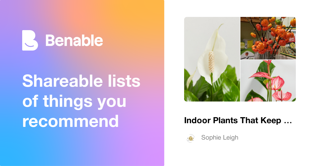 Indoor Plants That Keep You Smiling Through Fall & Winter