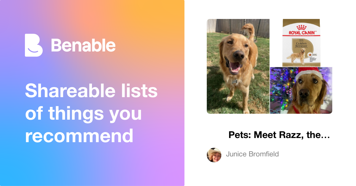 🐕‍🦺 Pets: Meet Razz, the adorable and affectionate Golden Retriever who ...