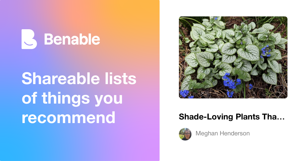 Shade-Loving Plants That Thrive Without Full Sun
