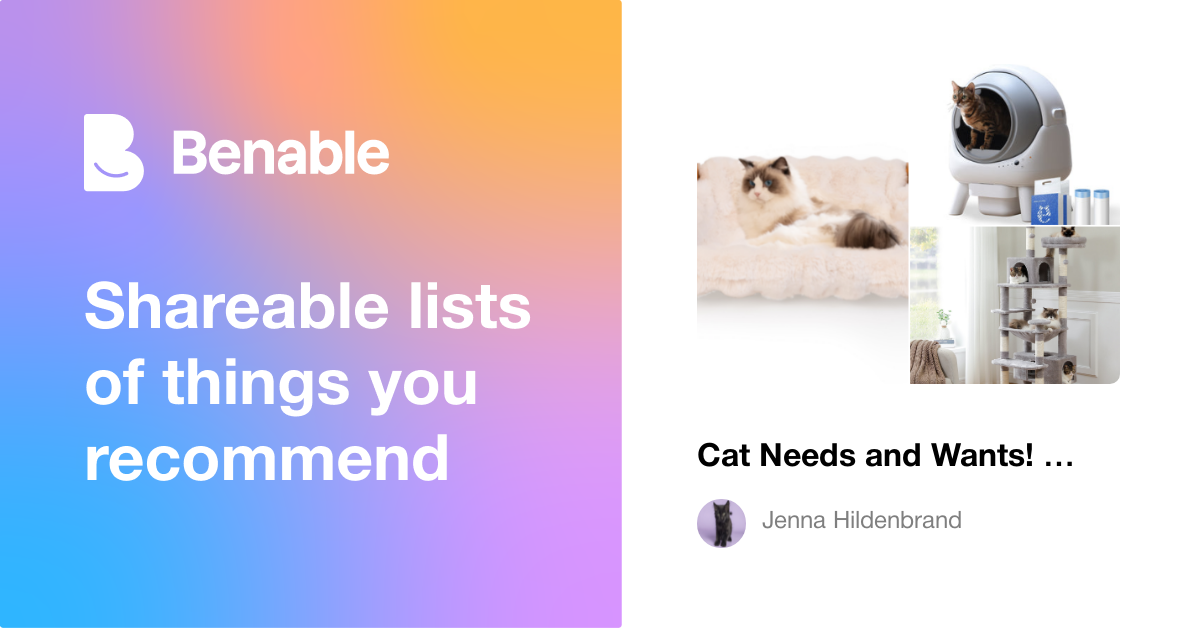Cat Needs and Wants! 🐈‍⬛🐾