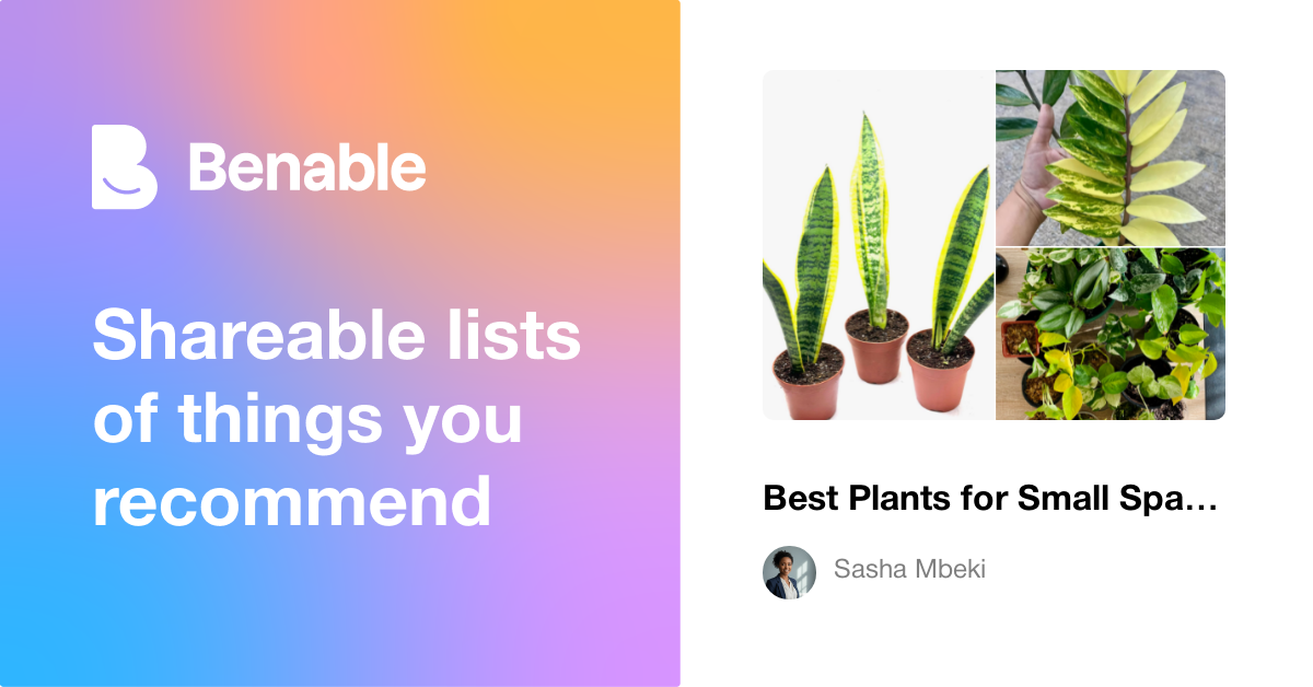 Best Plants for Small Spaces (Low-Light, Easy-Care Picks)