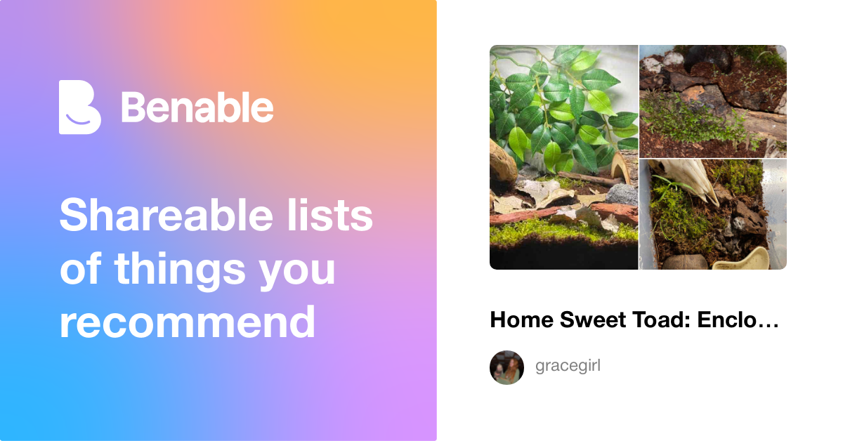 Home Sweet Toad: Enclosure Must-Haves 𓆏