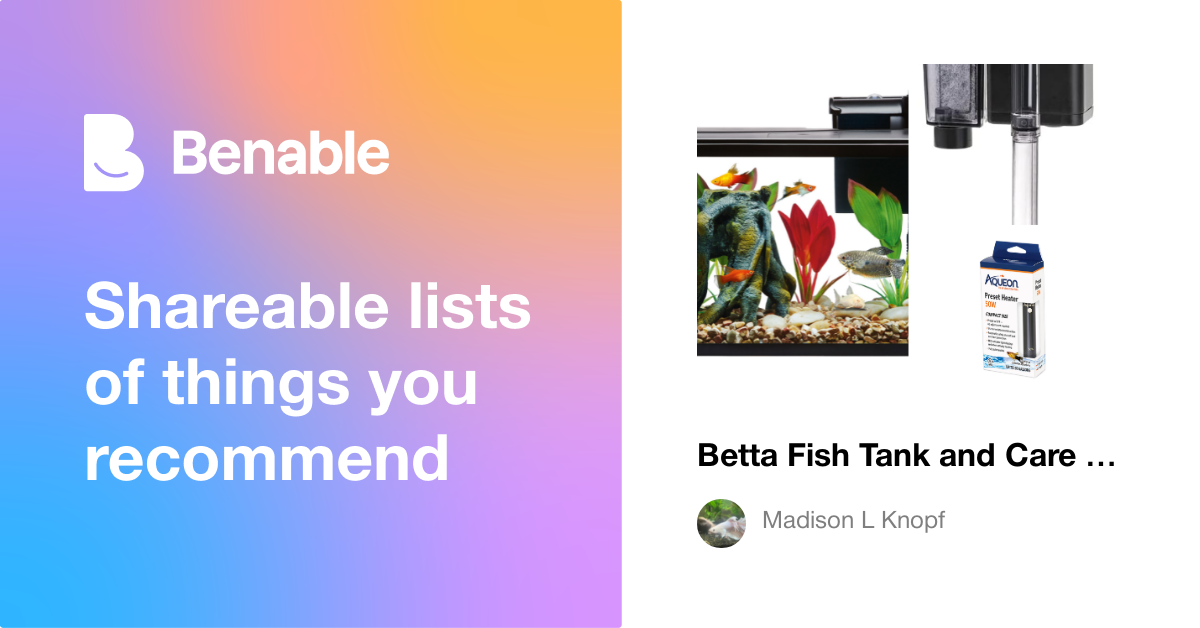 Betta Fish Tank and Care Guide